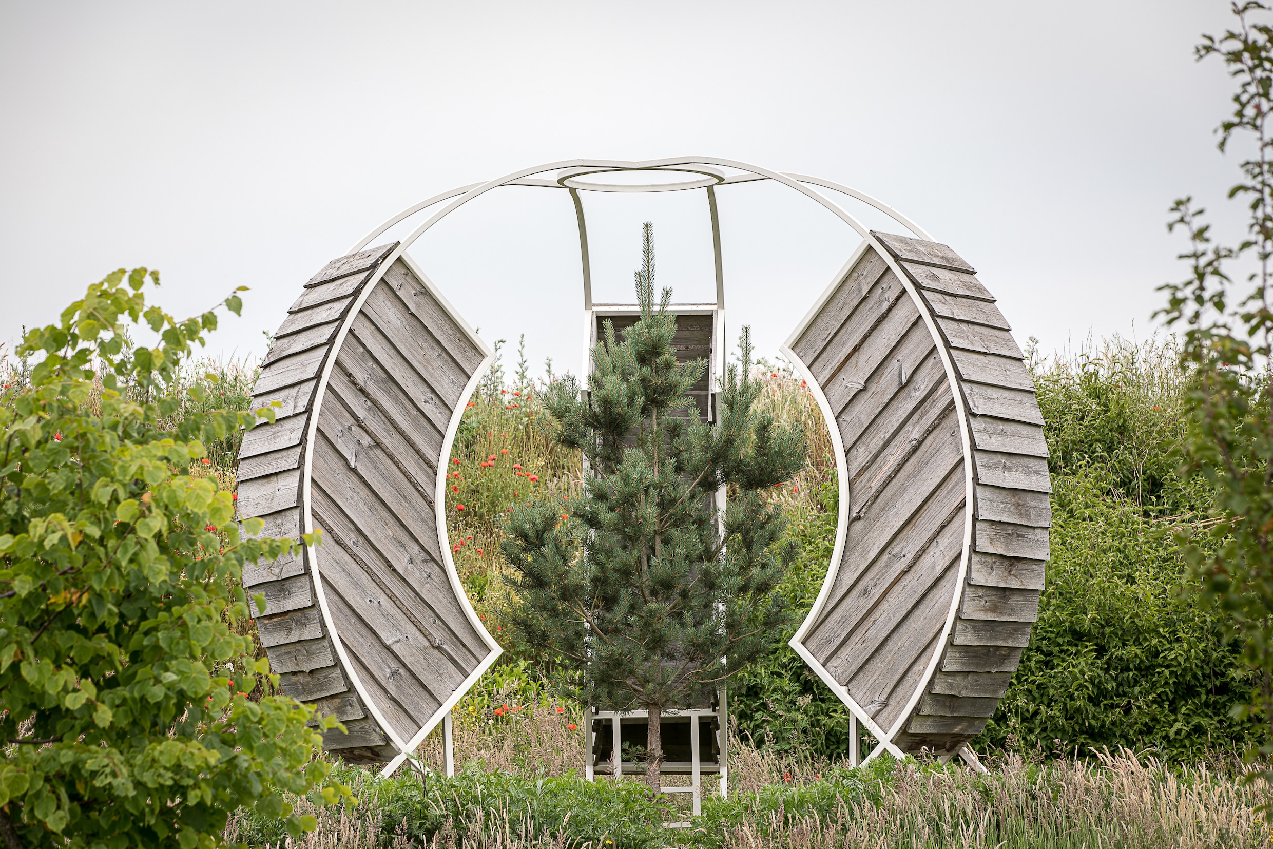 Van koeien naar kunst: zo kan een beeldentuin ontstaan. ‘Het gaat niet ...