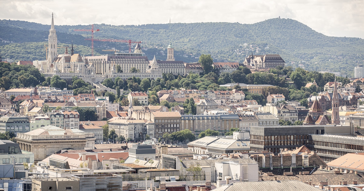 ‘Ik mis mijn oude leven en verlang terug naar de zorgeloze persoon die ...