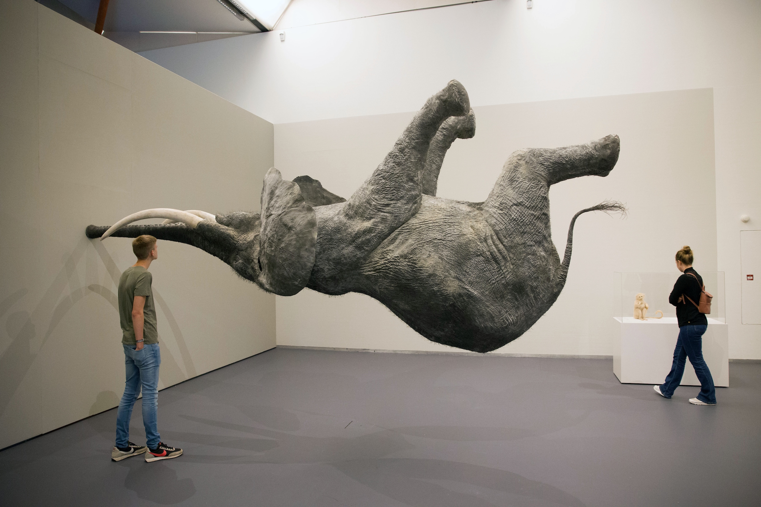 Maak van de kunstenaar geen supermens | de Volkskrant