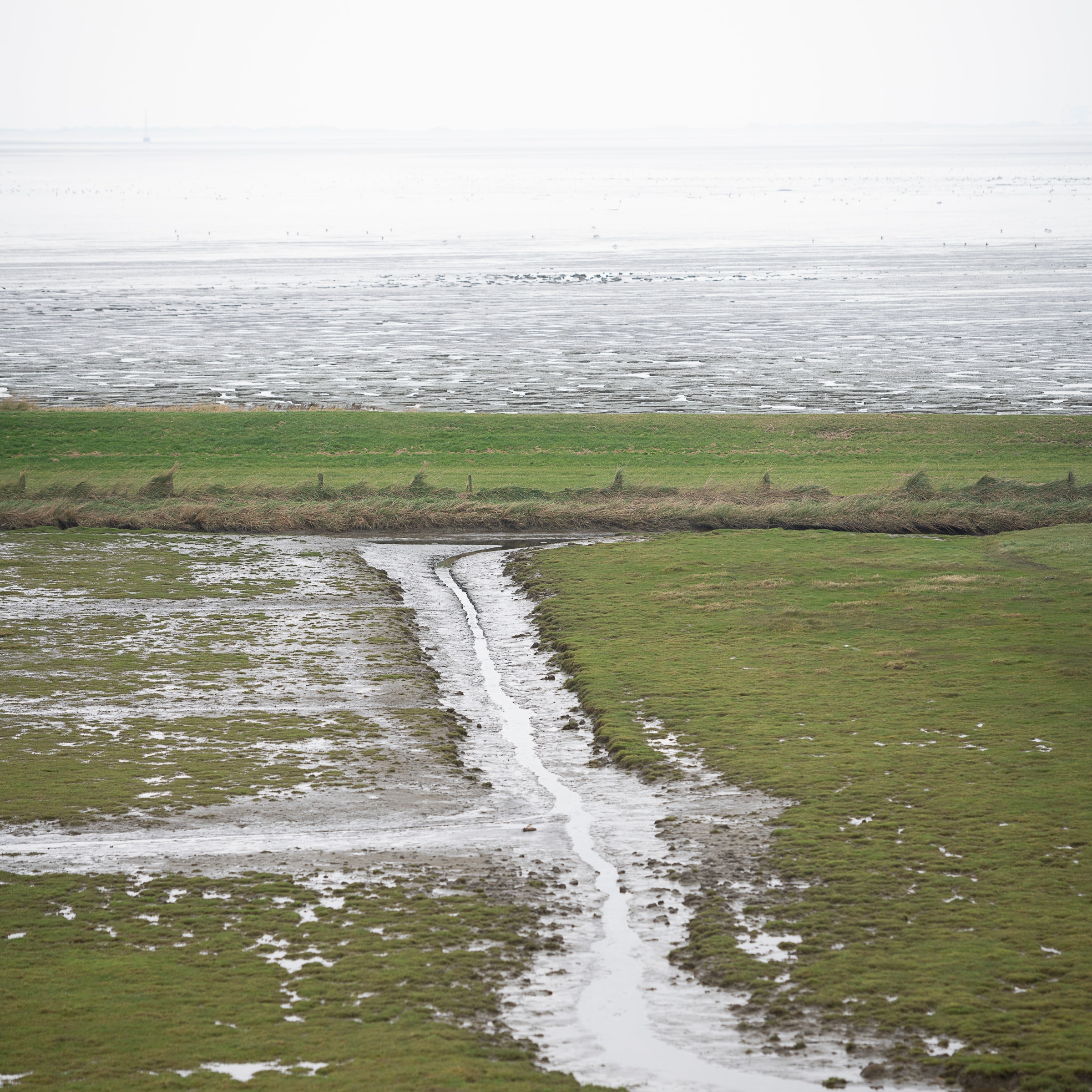 Voorlopig geen gaswinning onder de Waddenzee | de Volkskrant