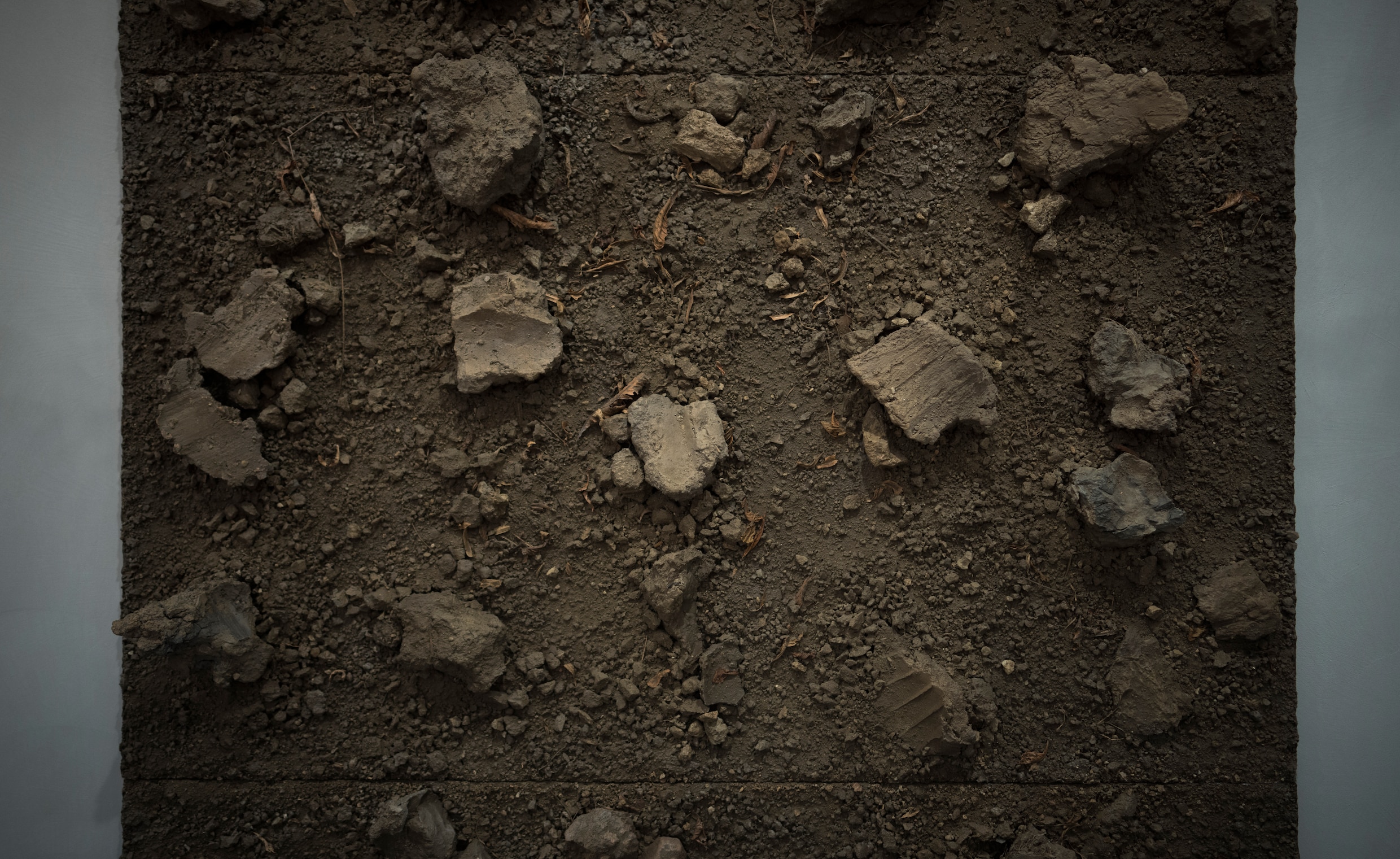 Met de ‘klimwand’ van kunstenaar Jos de Putter kreeg de Tweede Kamer ...