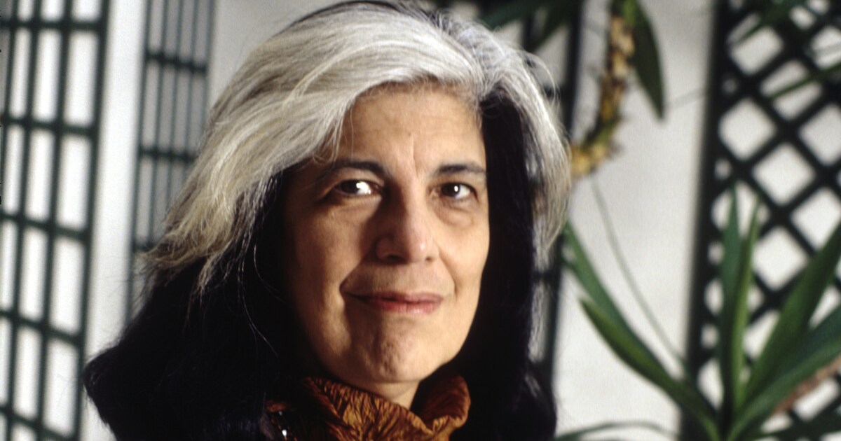 Susan Sontag valt reuze mee als disgenoot | de Volkskrant