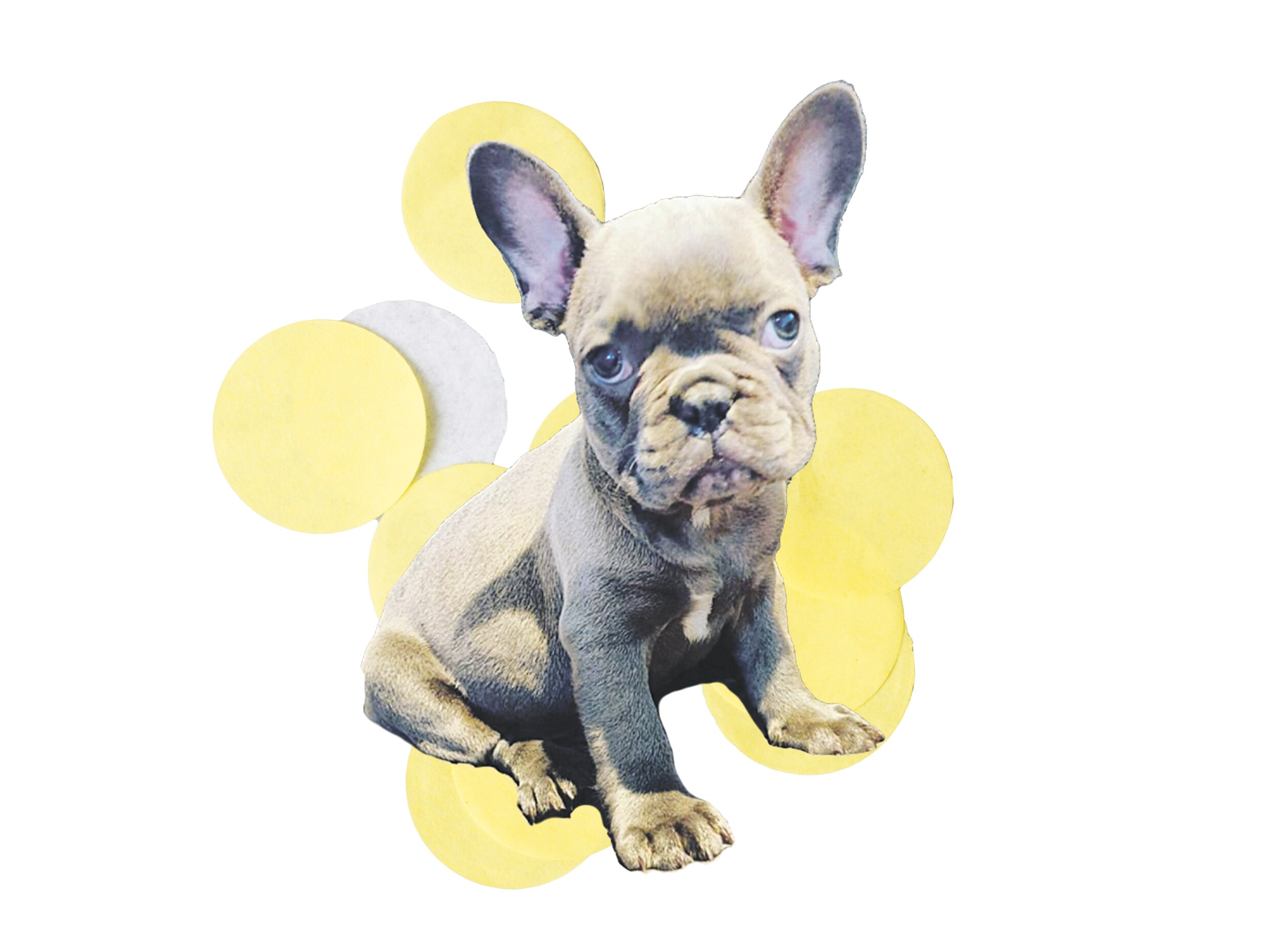 Van Toto tot Sywert: de veertig mediapersoonlijkheden van 2021 | de ...