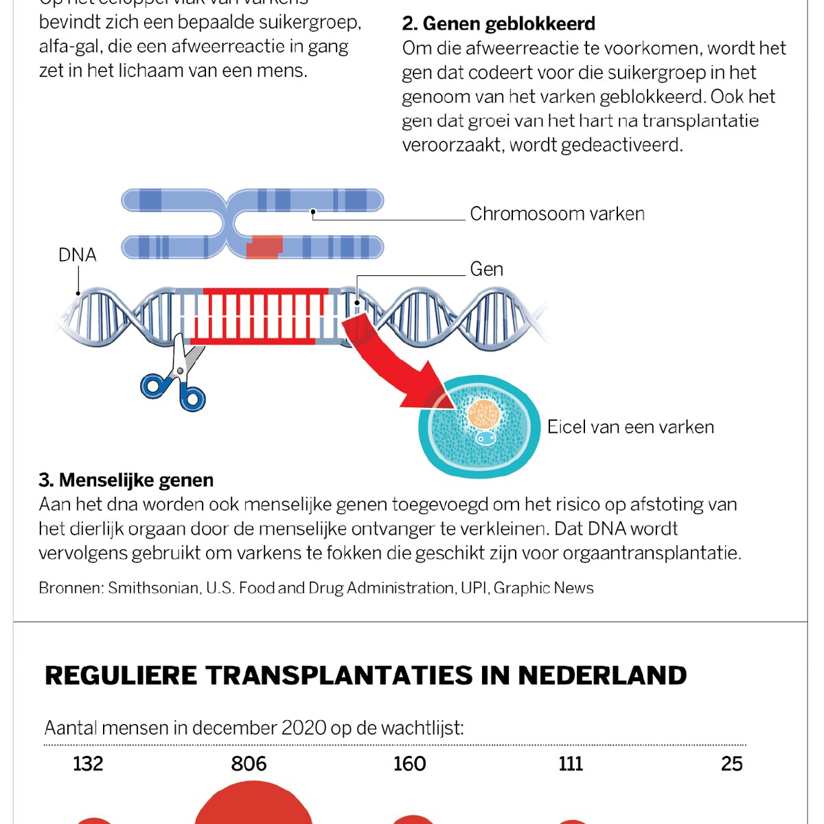 Menselijke Genen CRISPR HOT: Nieuw Gereedschap Om Specifieke Genen En