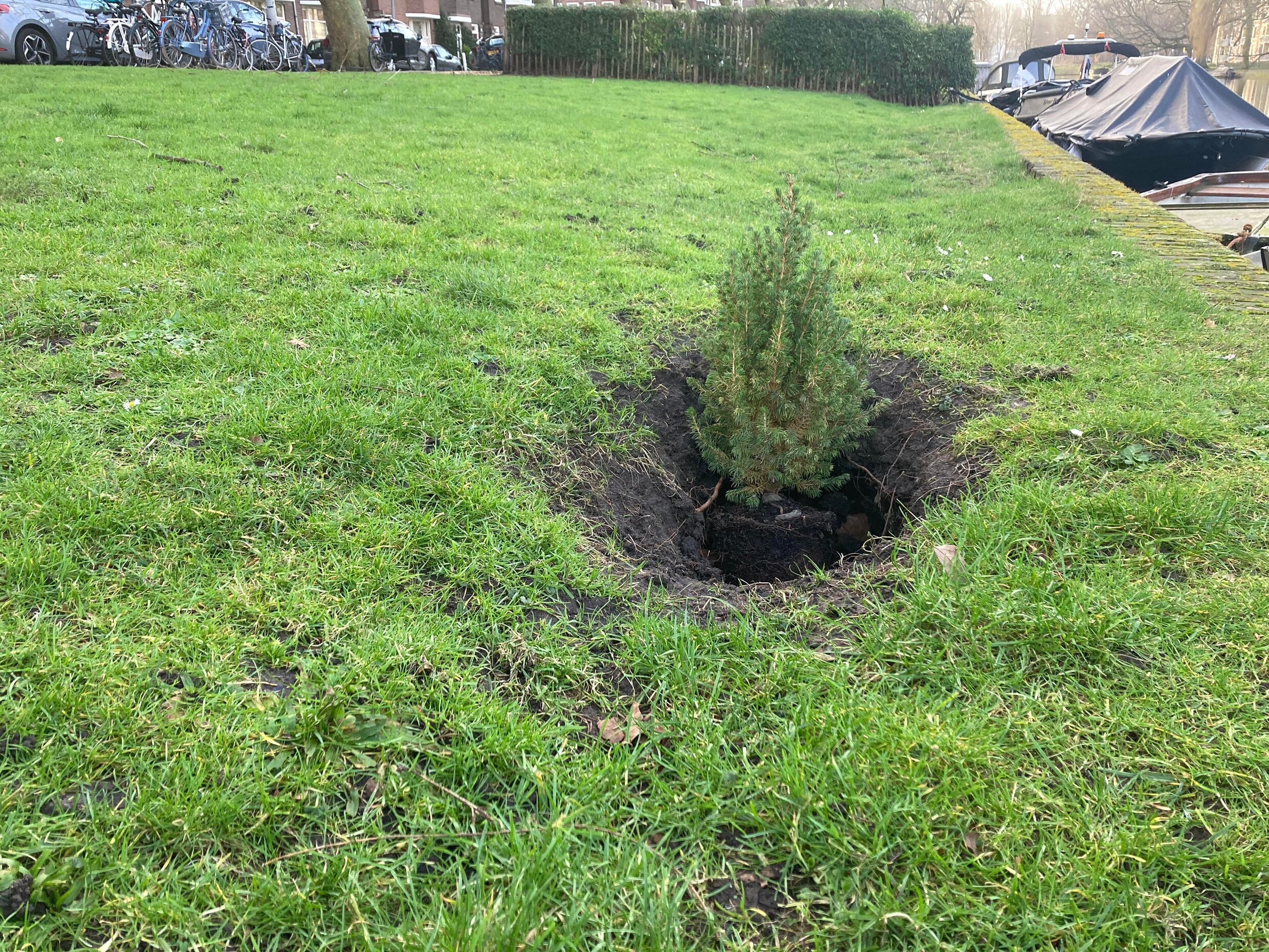 Nuclear Tree | de Volkskrant