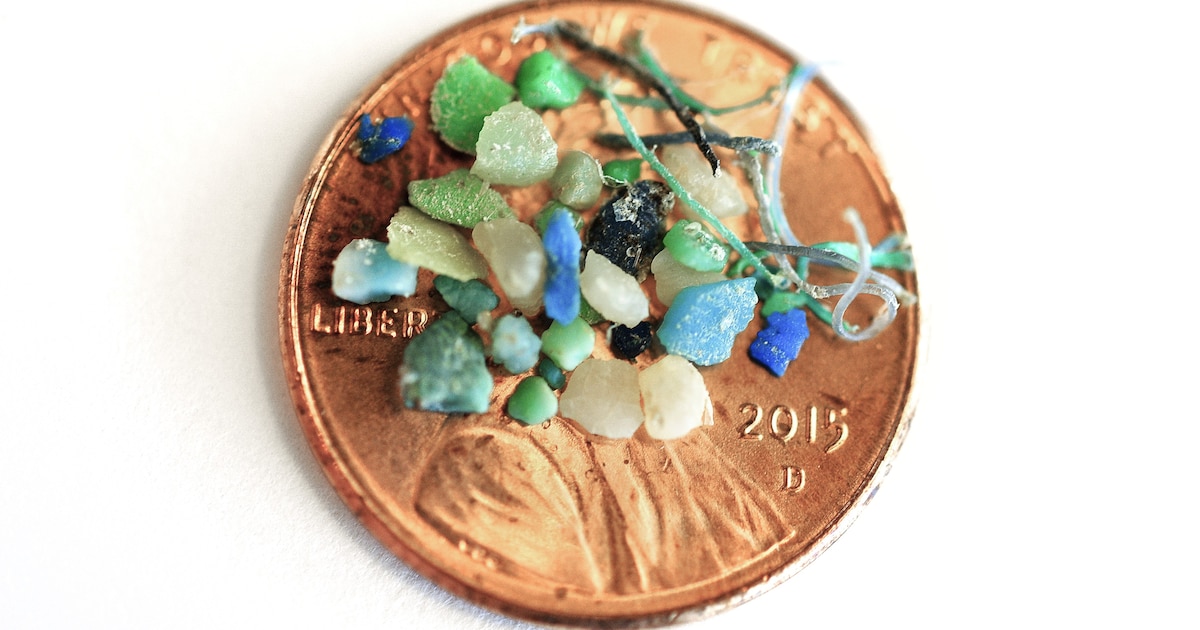 Plasticdeeltjes nu ook gevonden in menselijk bloed – de vraag is hoe ...