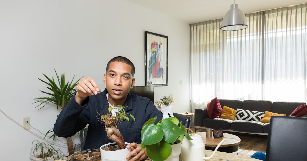 De kamerplant van rapper Sor heeft wat vaderlijke liefde nodig | de ...