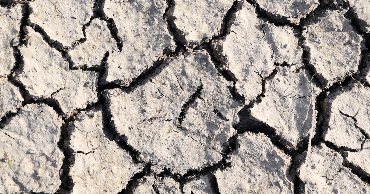 Het is alwéér extreem droog in Nederland: valt er dan niets tegen te ...