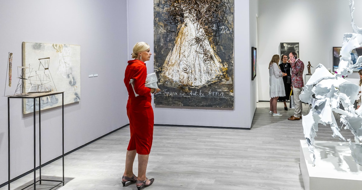 Onderzoek: vermogensverdeling nog schever dan gedacht, fiscaal beleid ...