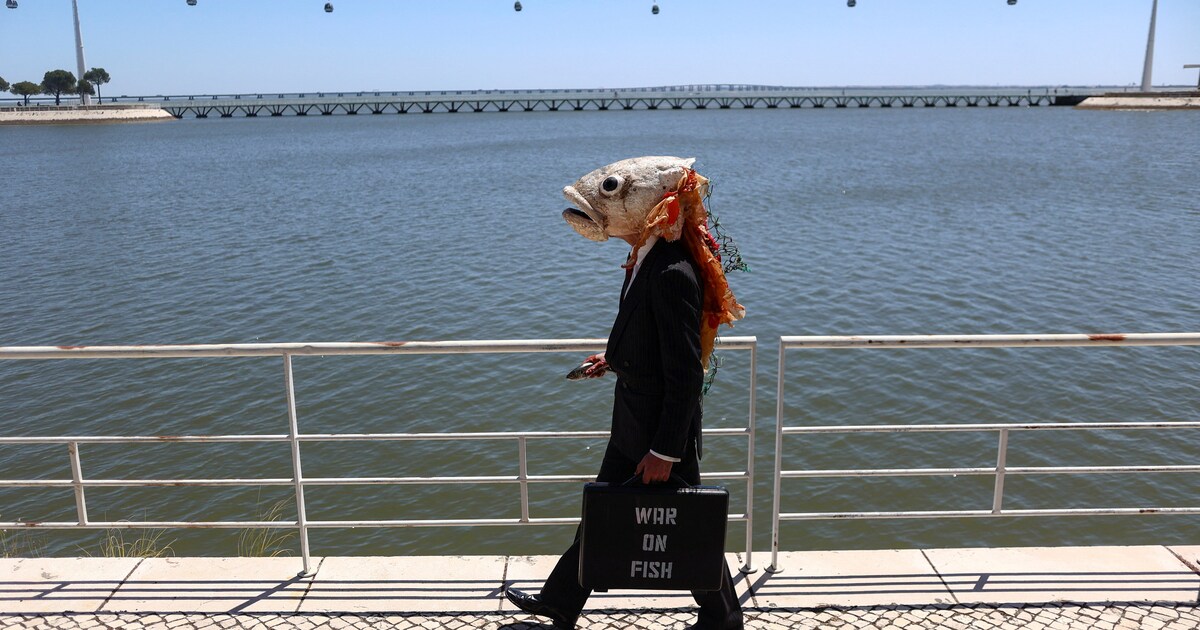 Vis in net pak loopt kordaat over de kade: wat maakt deze klimaatactie ...