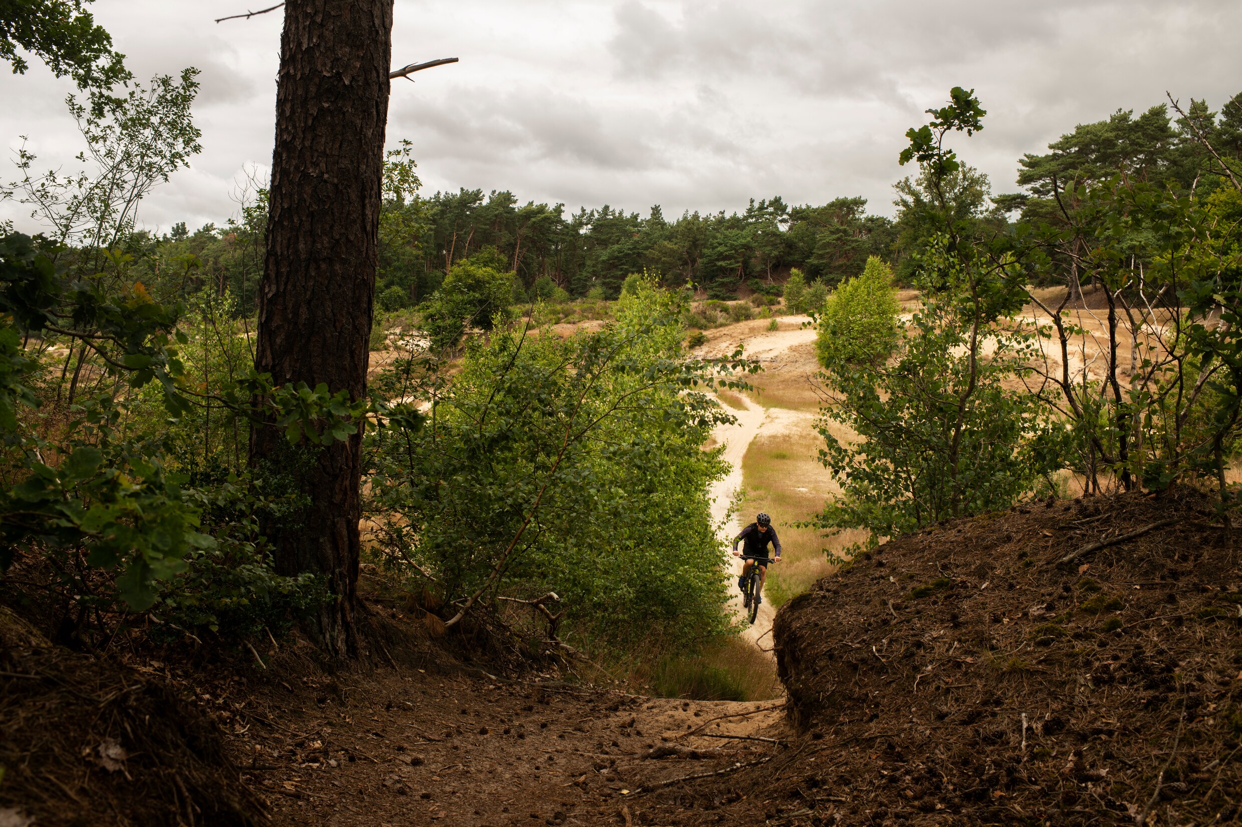 Billen omhoog en blik op oneindig: mountainbiken in de Loonse en ...