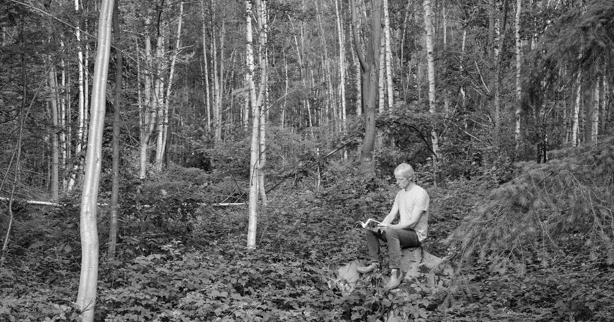 Sander Kollaard kiest klassiekers voor zijn zomerbibliotheek: ‘Al ...