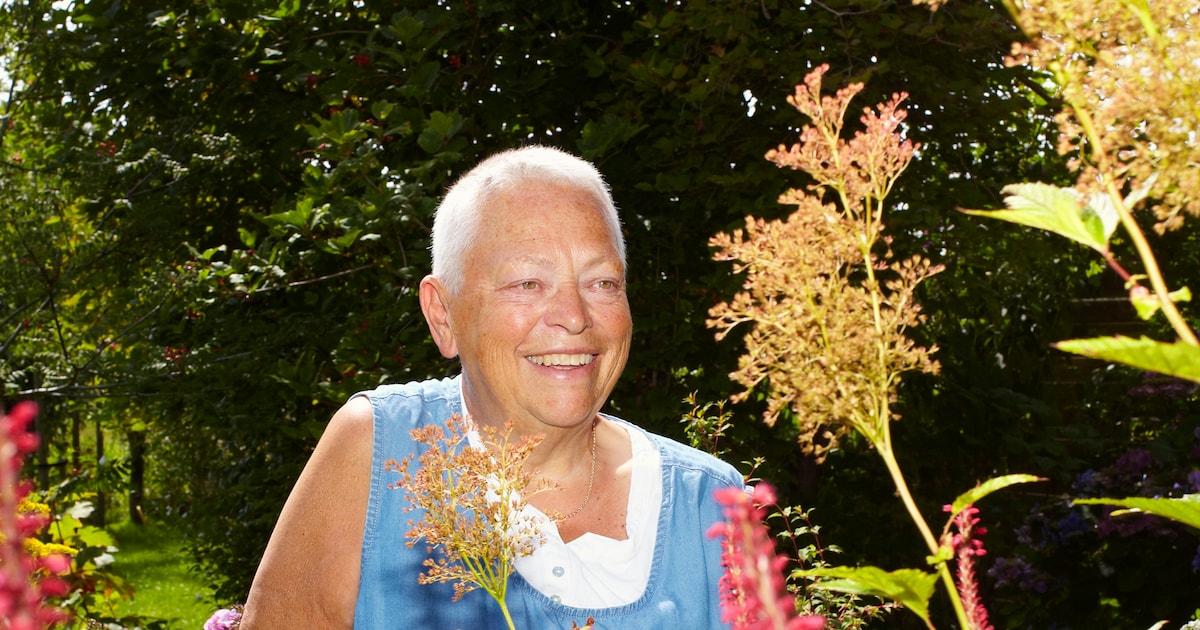 Liesbeth wist dat ze was geadopteerd, en toch domineerden geheimen haar ...