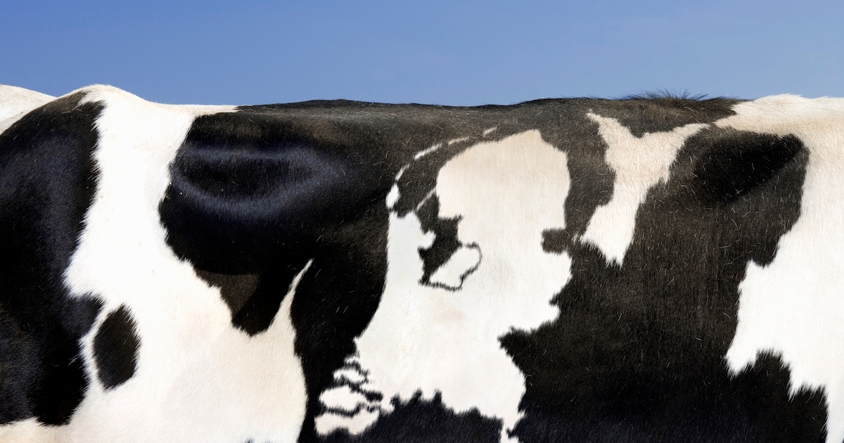 Het stikstofmodel van het RIVM bevindt zich in het centrum van een ...