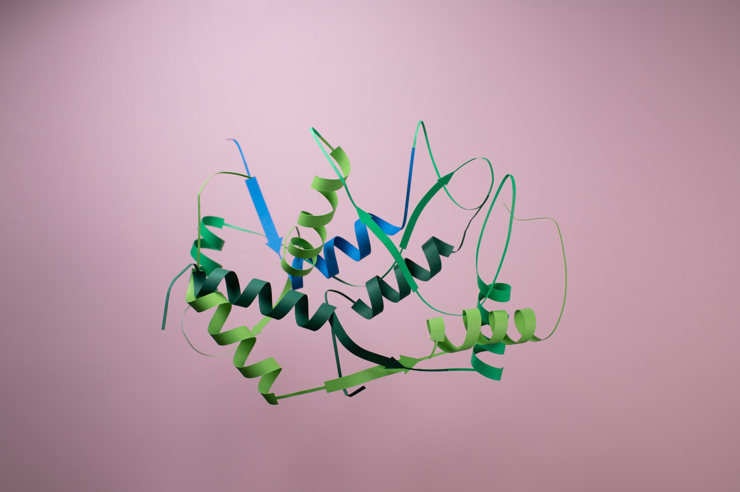 Kunstmatige intelligentie kraakt een van de grote raadsels in de ...