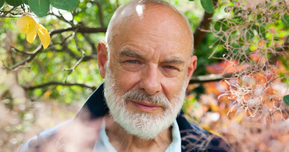 Met zijn nevels van harmonische elektronica vervoert Brian Eno je naar ...