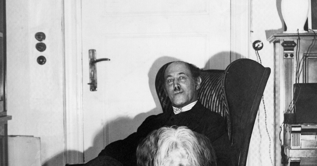 De woordgrap is de miezerigste vorm van humor | de Volkskrant