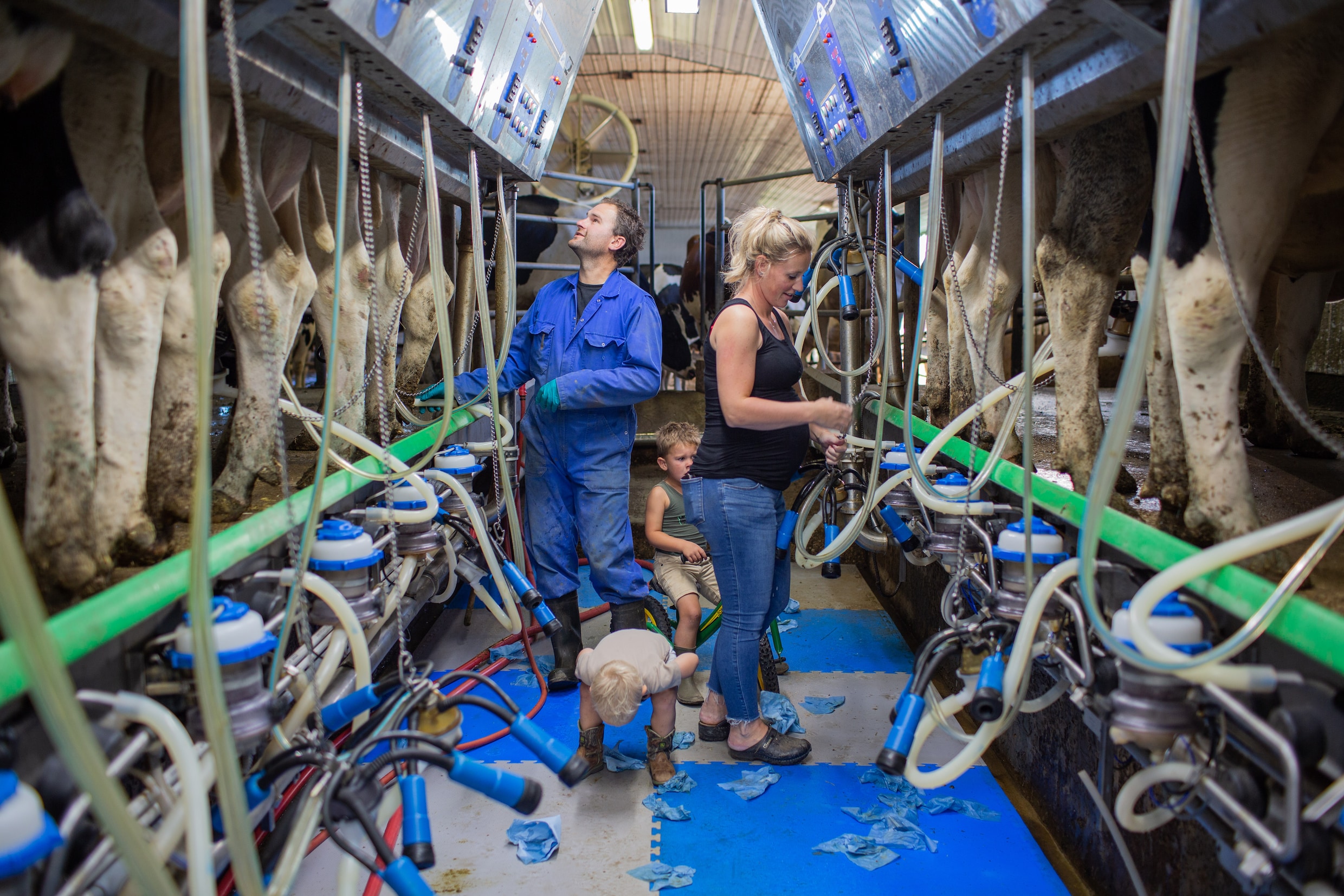Deze boeren zochten hun heil in Canada: ‘Hier zijn ook regels, maar ze ...