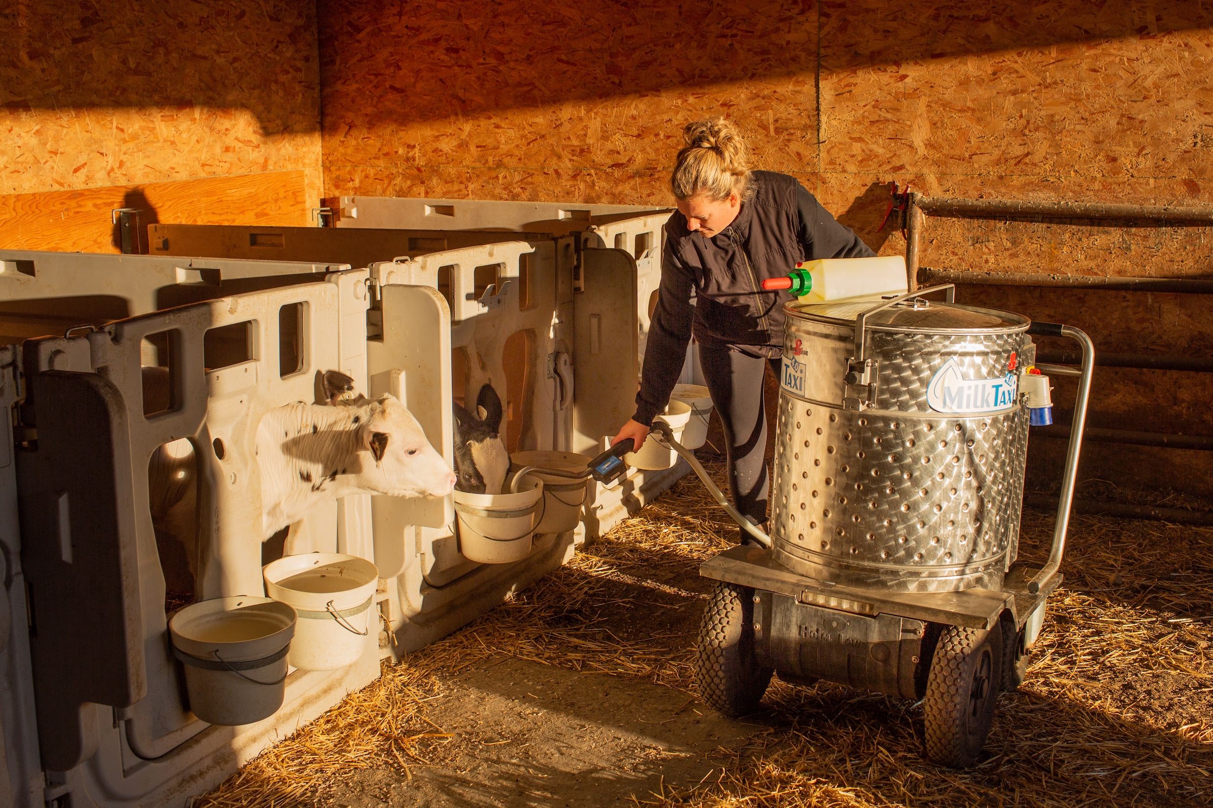 Deze boeren zochten hun heil in Canada: ‘Hier zijn ook regels, maar ze ...