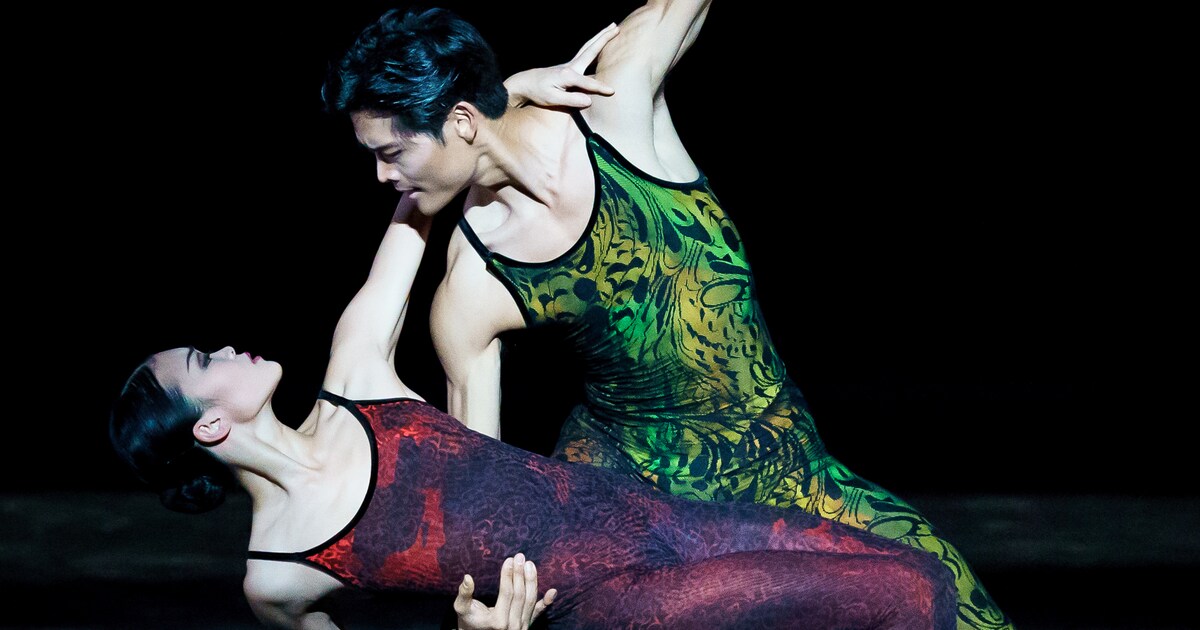 Choreografische grapjes en subtiel spel met kokette verleiding in fraai muzikaal drieluik van ...