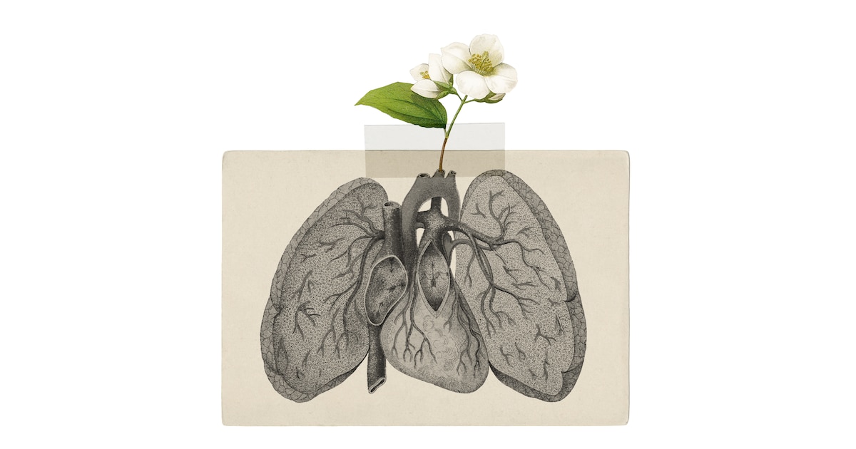 ‘Doordat mijn collega zo scherp was, zijn we nu een stap dichter bij ...