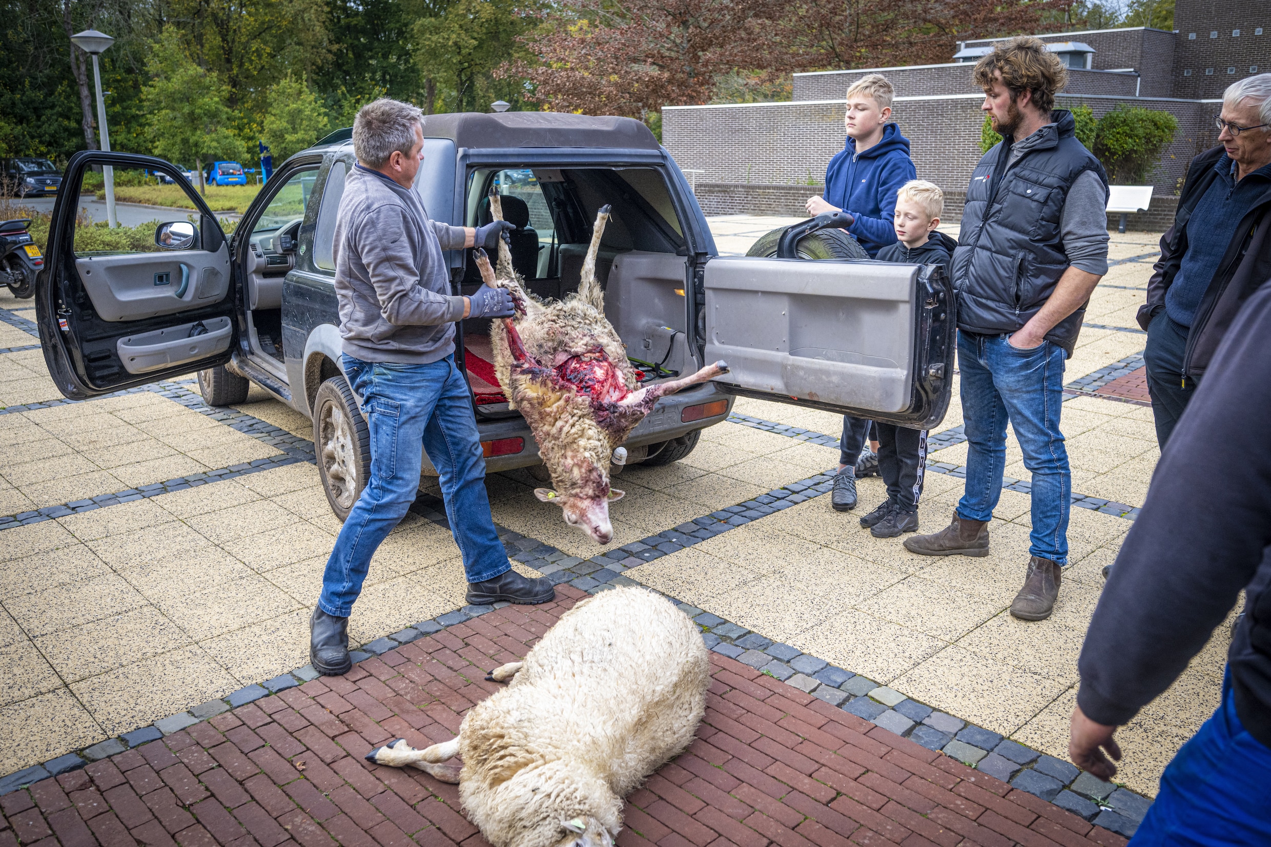 Lezersbrieven: Ik wil geen hekken, ik wil geen wolf | de Volkskrant