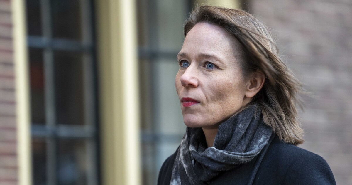 Kabinet zet door: verbieden van ondermijnende politieke partijen moet makkelijker worden | de ...