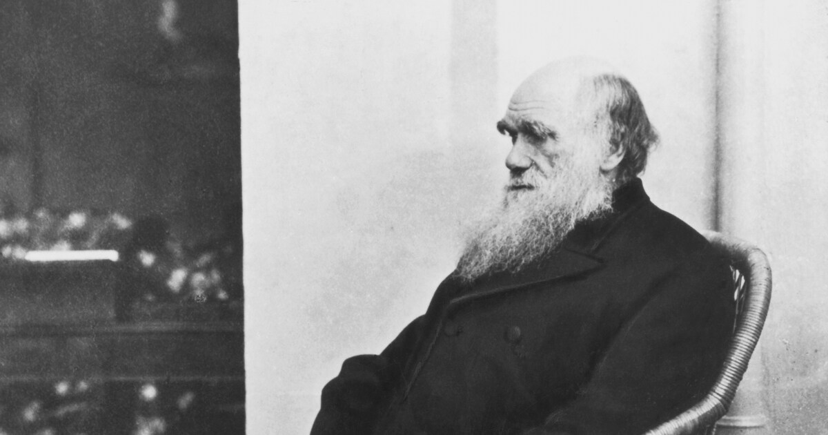Charles Darwin is blij dat hij als Engelsman is geboren | de Volkskrant
