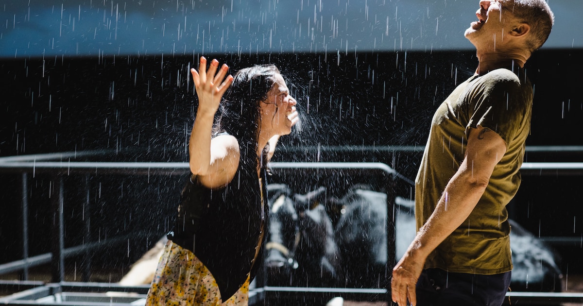 Ongewone edelfiguranten in Van Hoves bewerking van Marieke Lucas ...