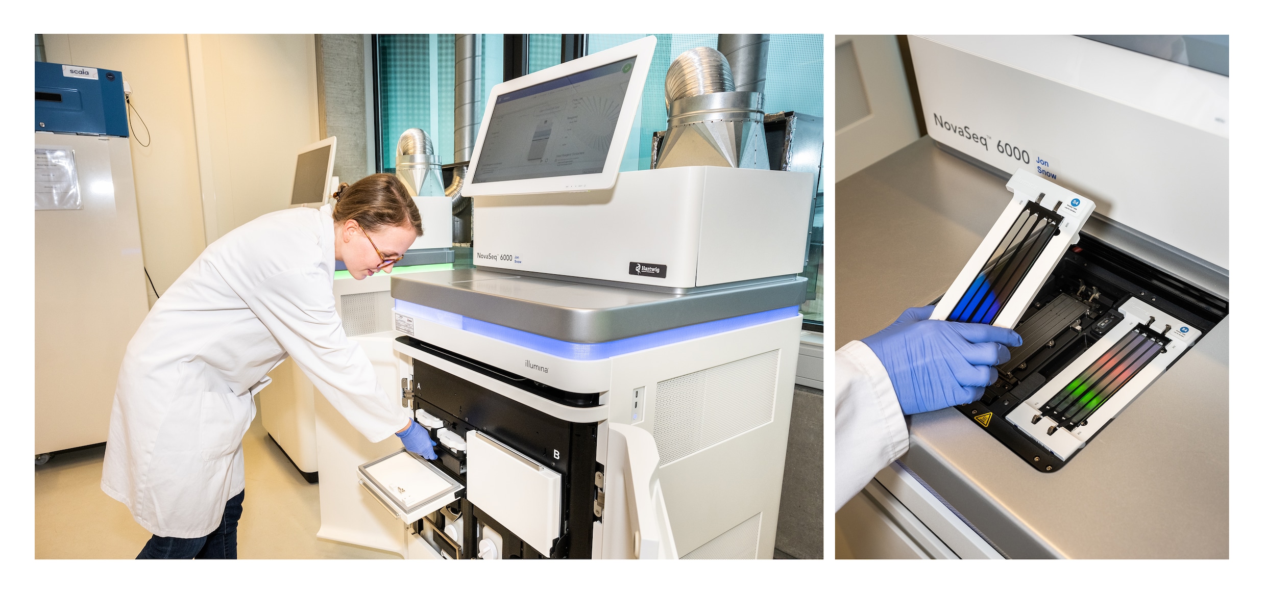 Het dna van de tumor compleet in kaart, zoals de Kamer wil: hebben ...