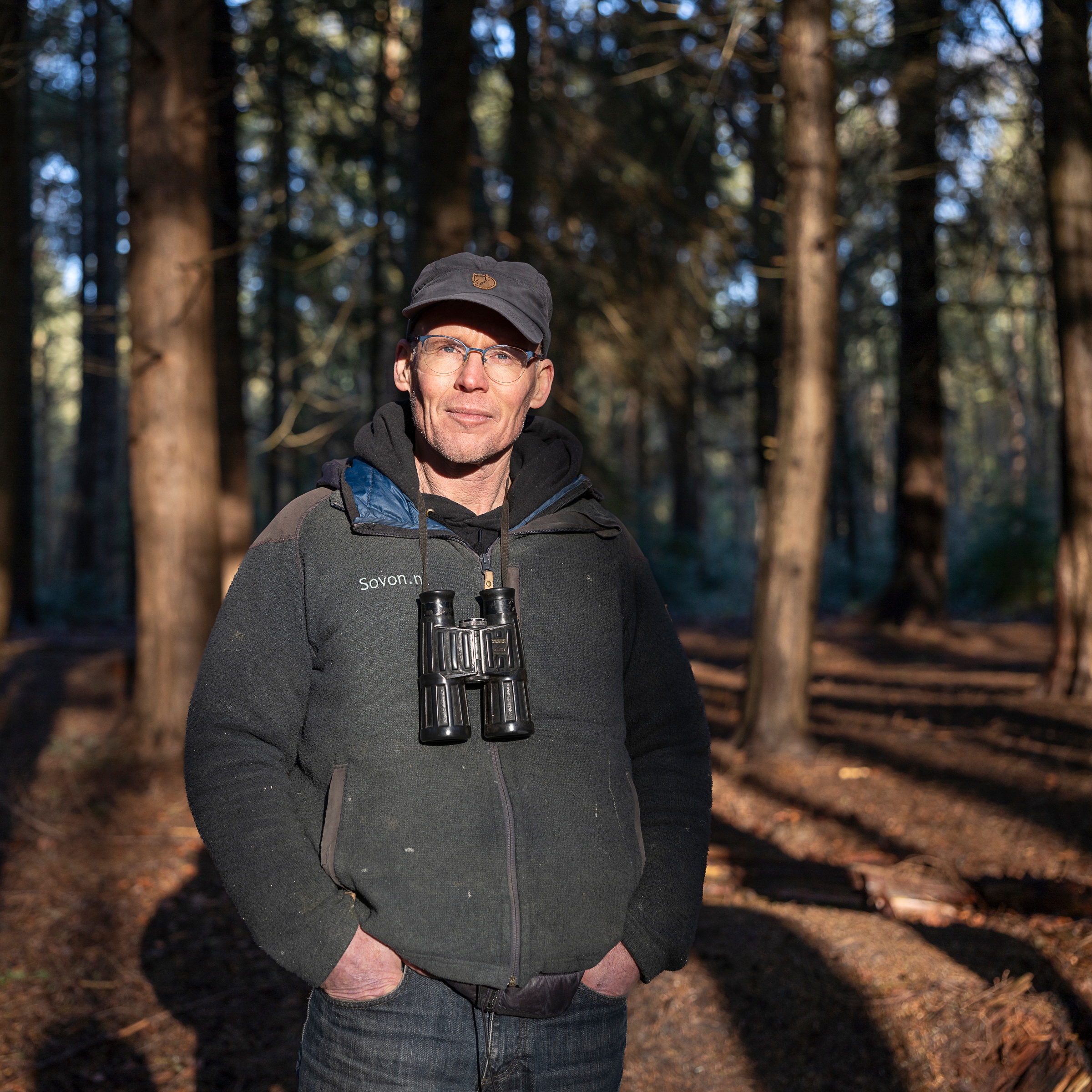 Het dilemma op de Veluwe: wespendief of windmolen? ‘Het besluit van ...