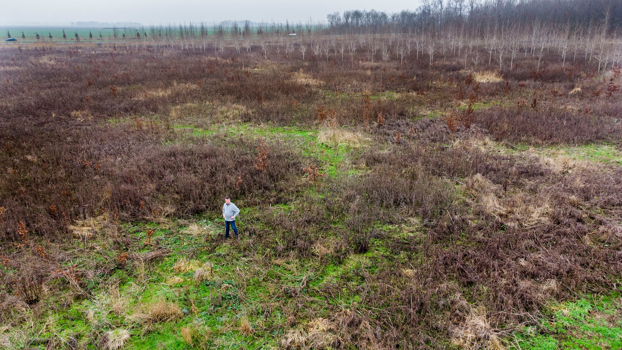 Nederlands beste boerengrond – in Flevoland – maakt plaats voor ...
