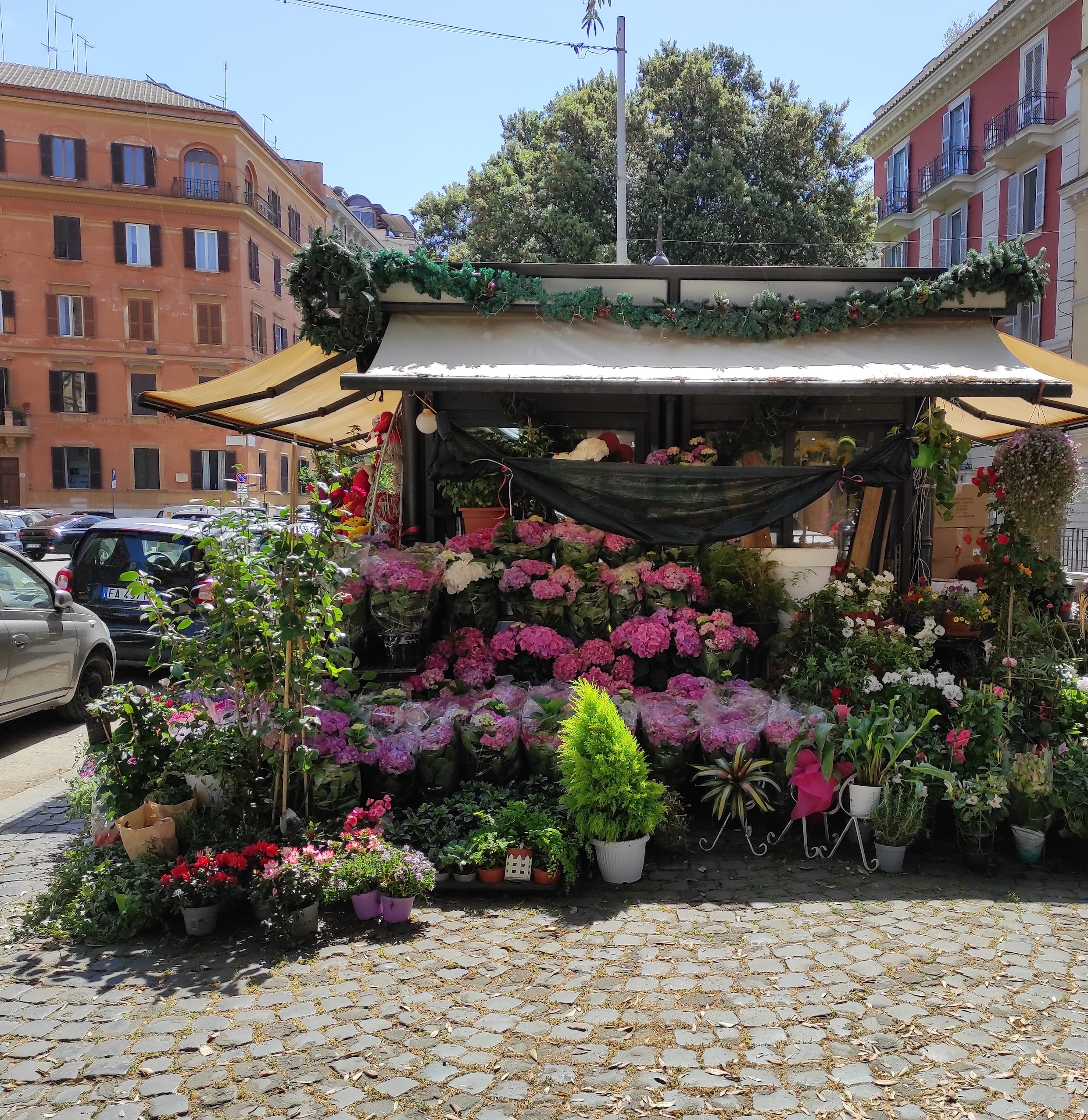 Waarom hebben Romeinse bloemenstallen de openingstijden van een Eerste Hulp? | de Volkskrant