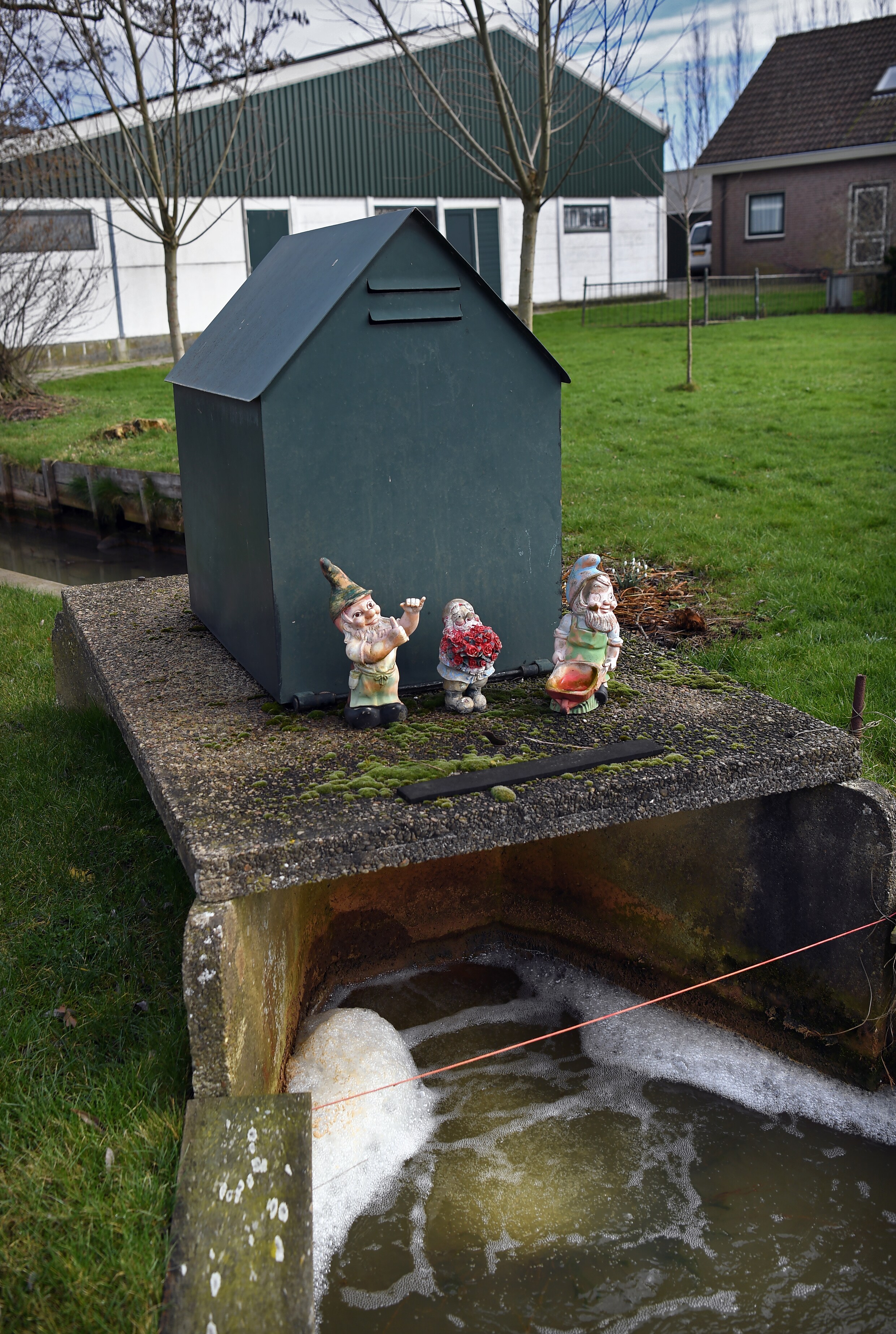 In de Zuidplaspolder heeft het water de strijd gewonnen: ‘Het ...