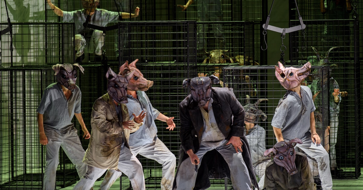 ‘Animal Farm’ van Alexander Raskatov boeit vanaf het begin en is soms ...