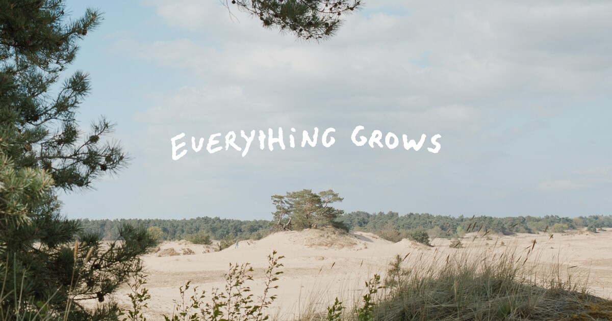 Recensie: ‘Everything Grows’ van Nagasaki Swim betovert | de Volkskrant