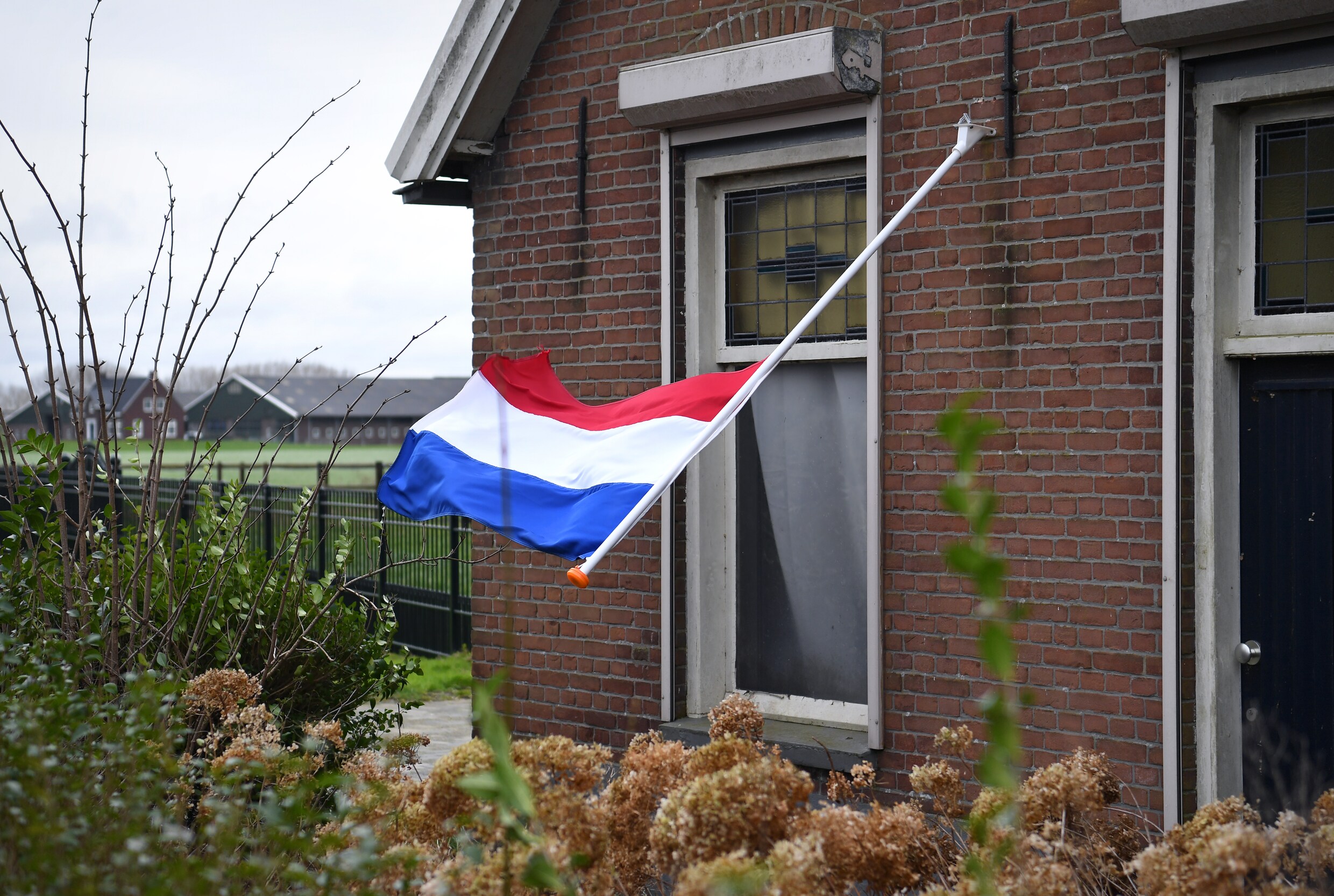 Opinie: Boeren gaan met verkeerde boodschap naar Brussel | de Volkskrant