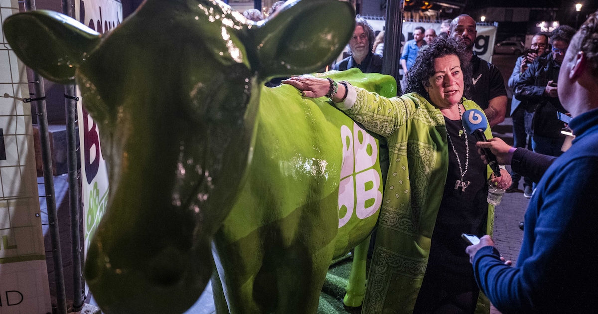 Winst BBB overtreft alle verwachtingen: kiezer zadelt het kabinet op ...