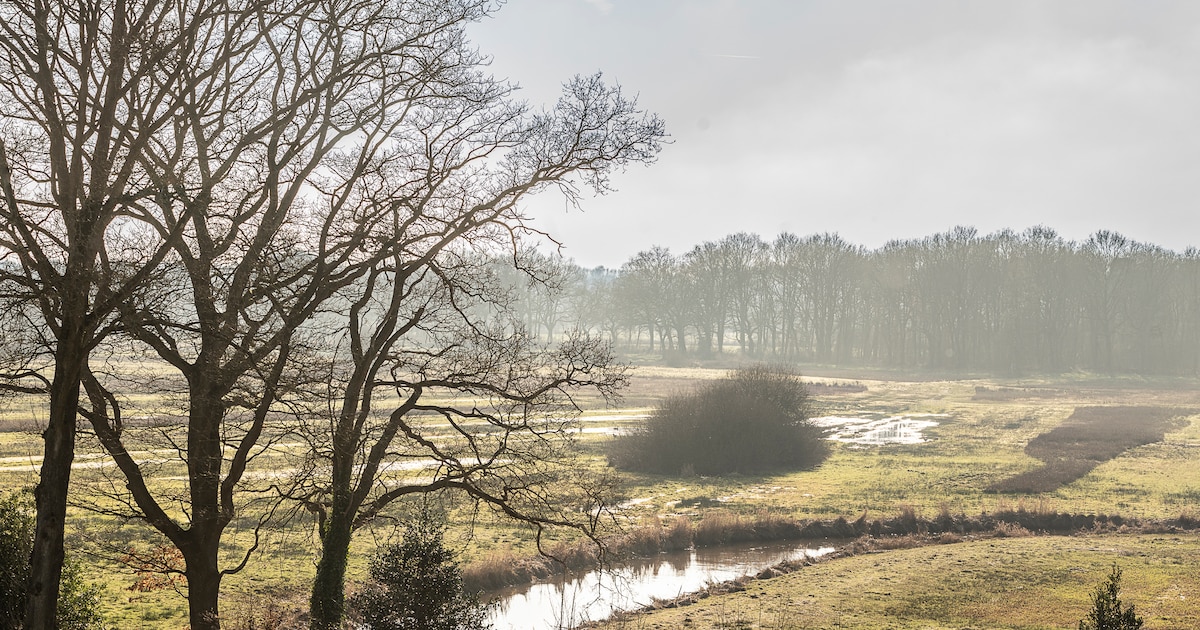Met donderend geraas stormt BBB ook de waterschappen binnen | de Volkskrant