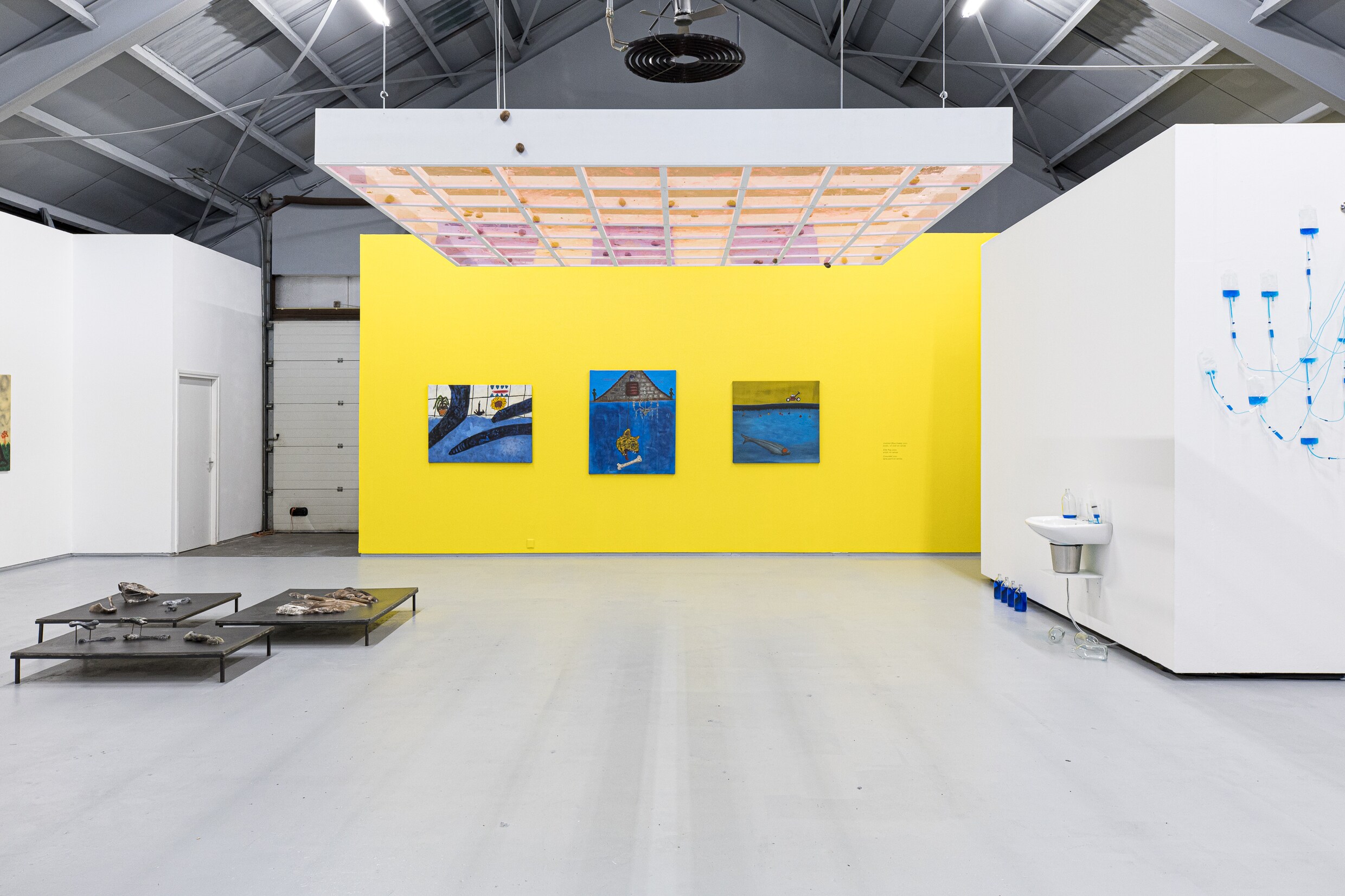 Met zijn slakken op plexiglas roept Paul Geelen vragen op over onze ...