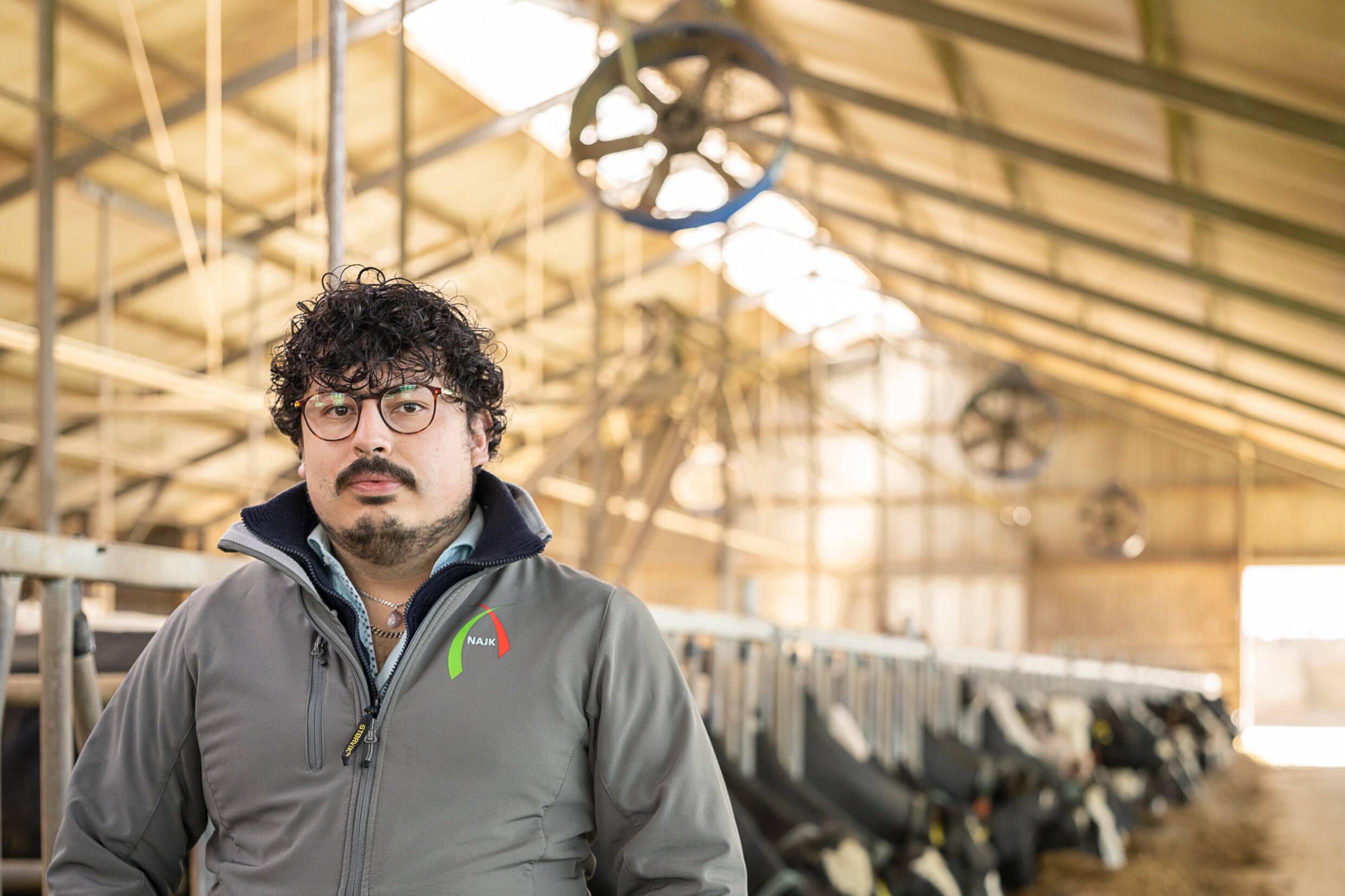 Deze jonge boer wil terug naar het poldermodel: ‘Terwijl iedereen aan ...