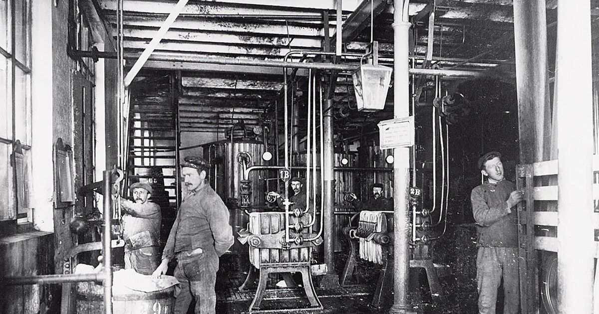 Delftse Biotech Campus moet mondiale rol gaan spelen in duurzame ...