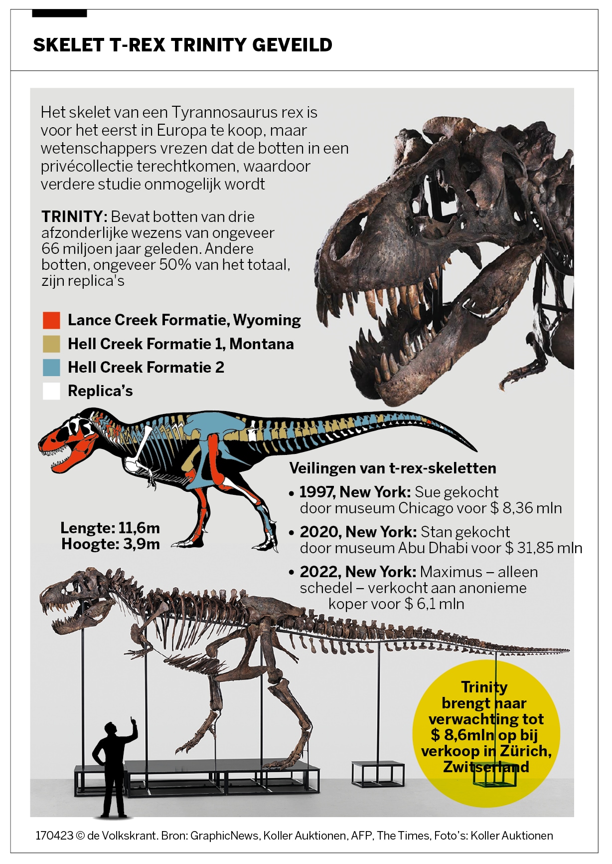 Te koop tegen elk aannemelijk bod: een heuse T. Rex | de Volkskrant