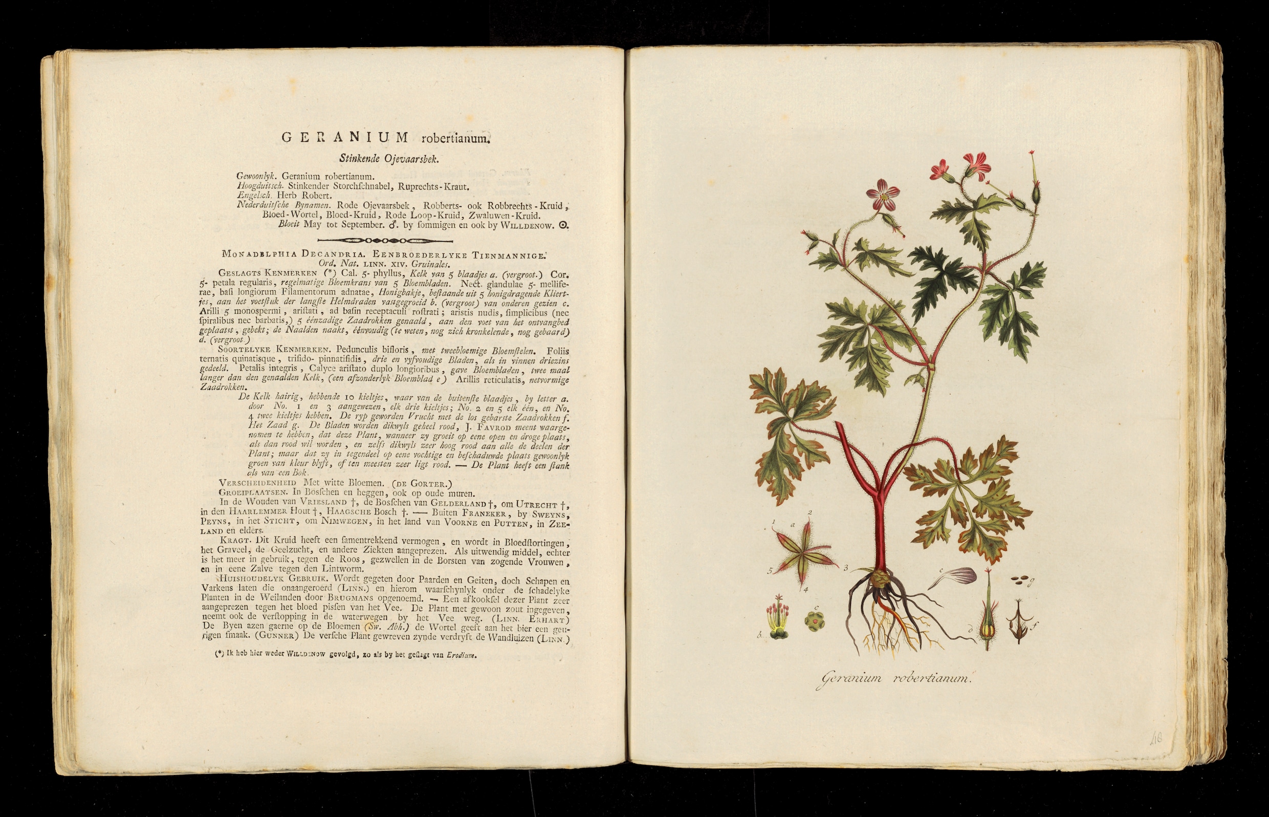 De Flora Batava is een prachtig boek over het Nederlandse plantenrijk ...