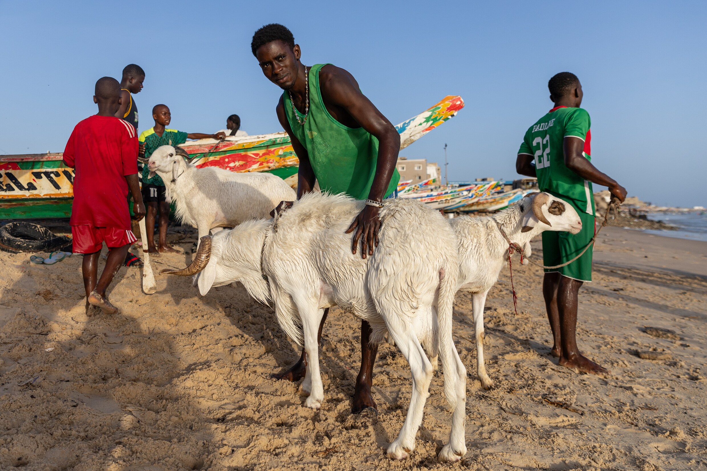 ‘Veel Senegalezen nemen hun toevlucht tot diasporageld om een ...