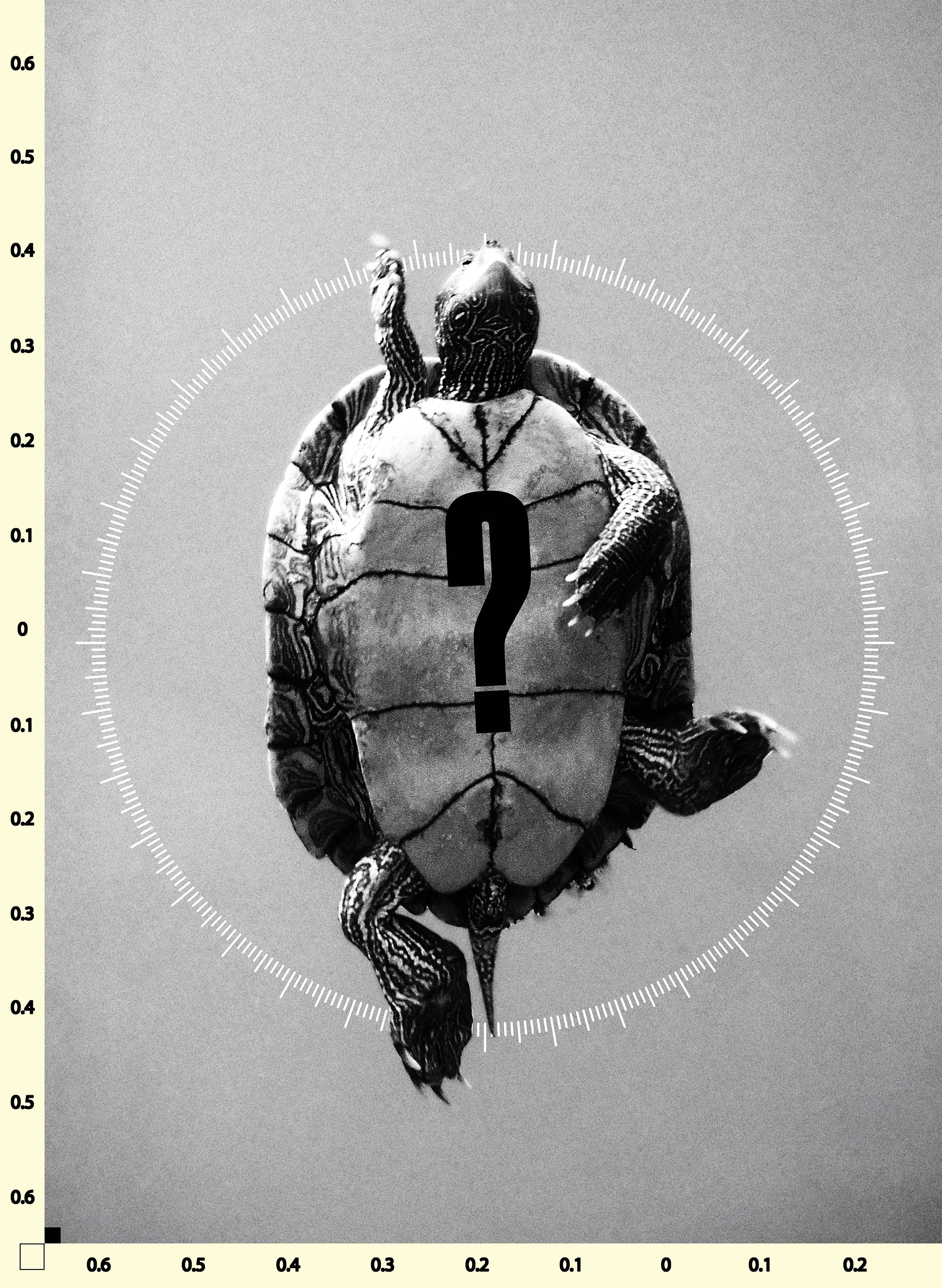 Hoe werkt instinct? Het boek over aangeboren gedrag wordt langzaam ...