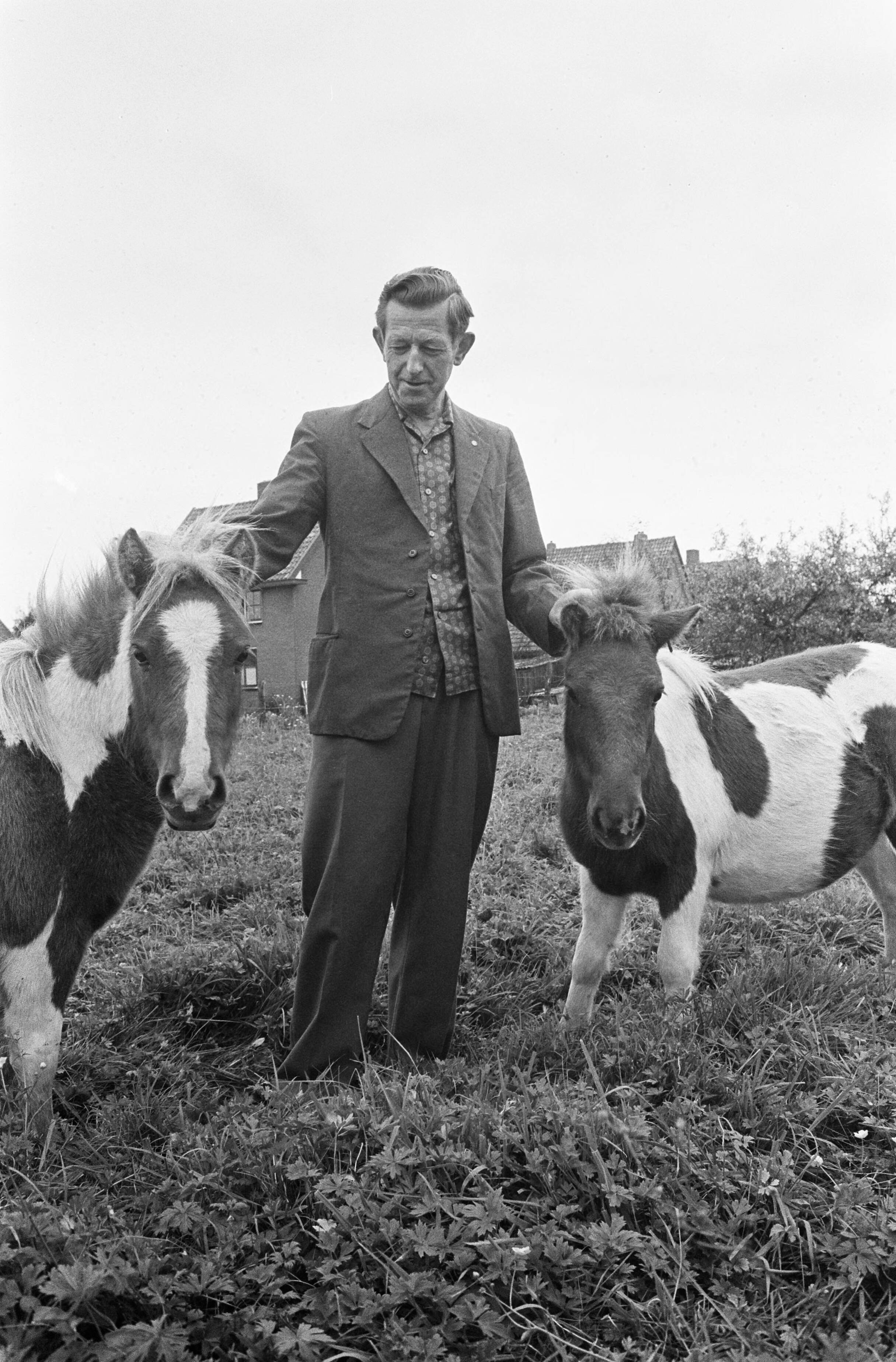 De stikstofkomedie ‘Boer Koekoek’ gaat over boerenprotesten toen en nu ...