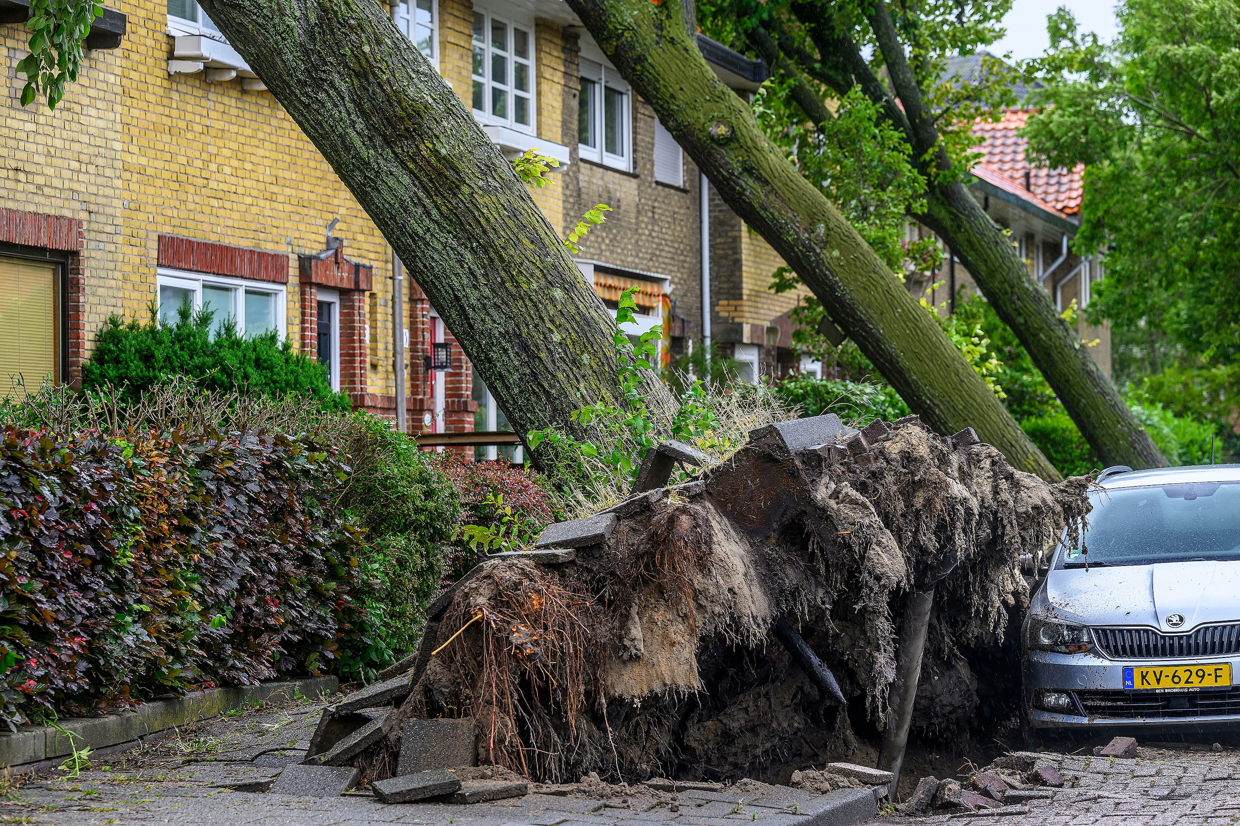De zomerstorm die een einde maakte aan het leven van Christel (51) | de ...