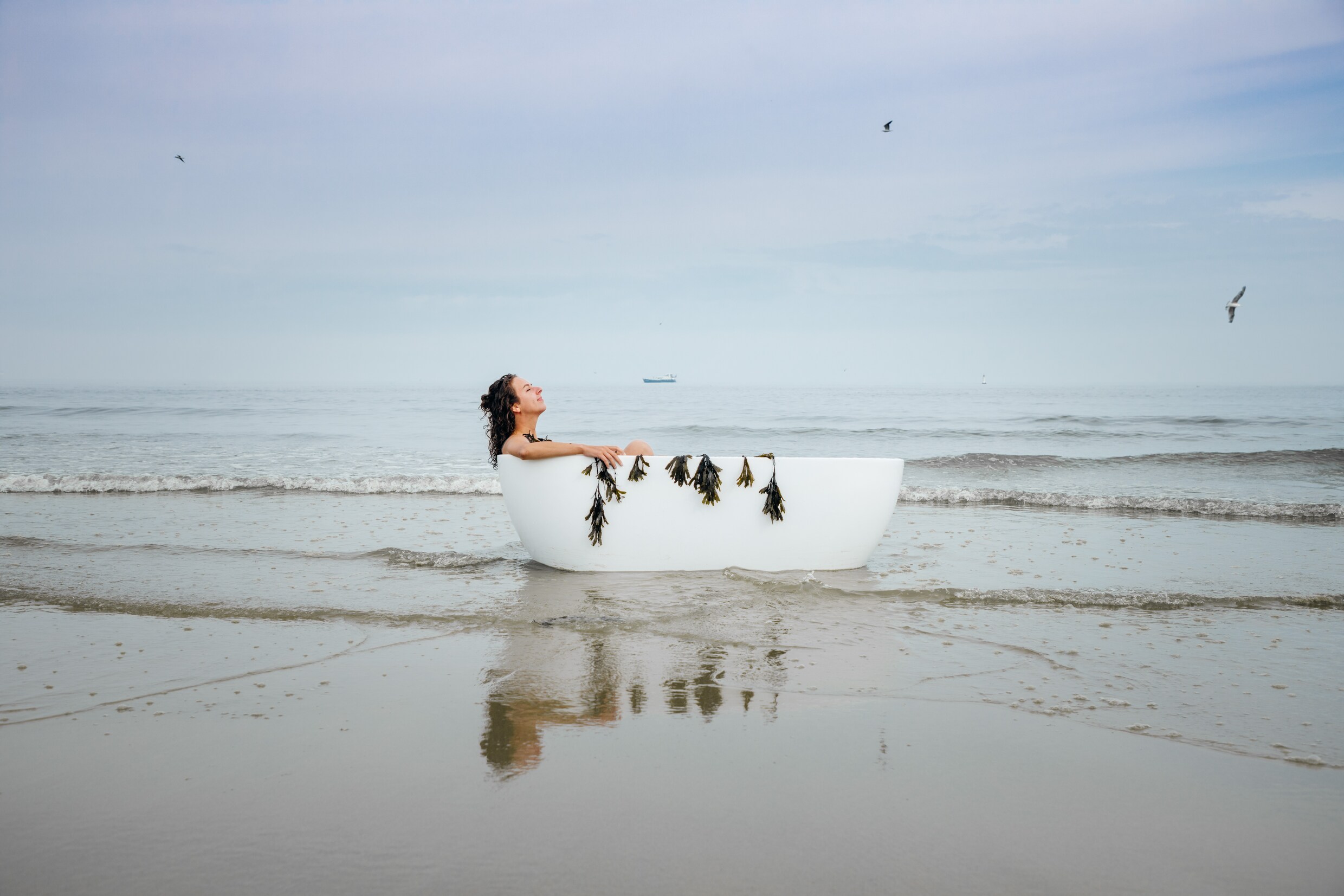 Van wier tot waar: zeewier duikt steeds vaker op in de wereld van ...