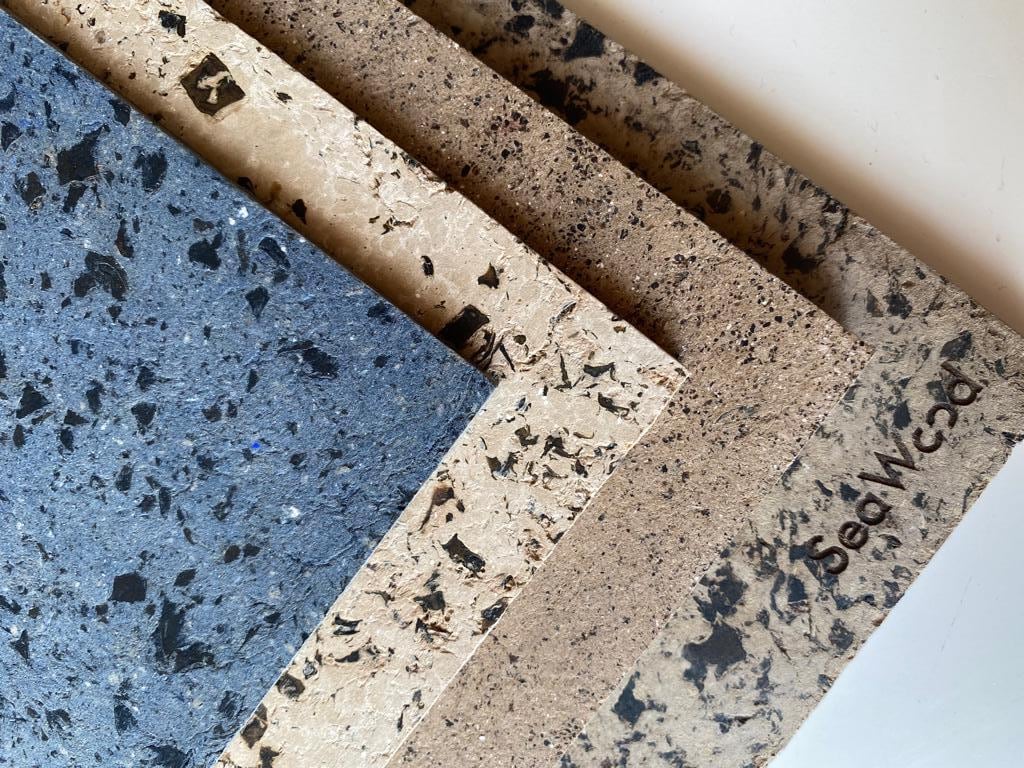 Van wier tot waar: zeewier duikt steeds vaker op in de wereld van ...